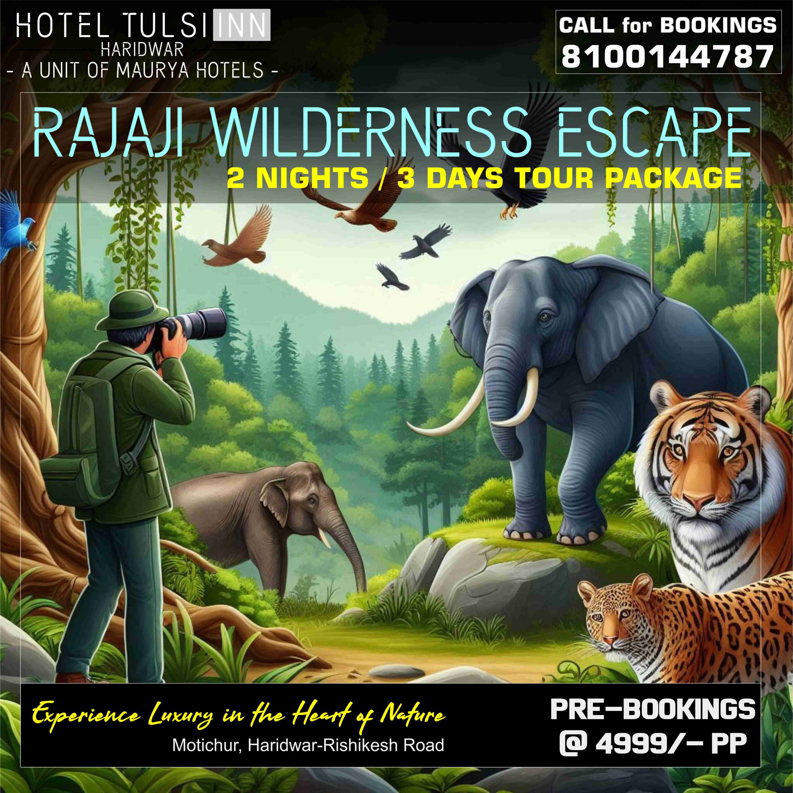 Experience an Exciting Wildlife Tour Package at Rajaji National Park ...